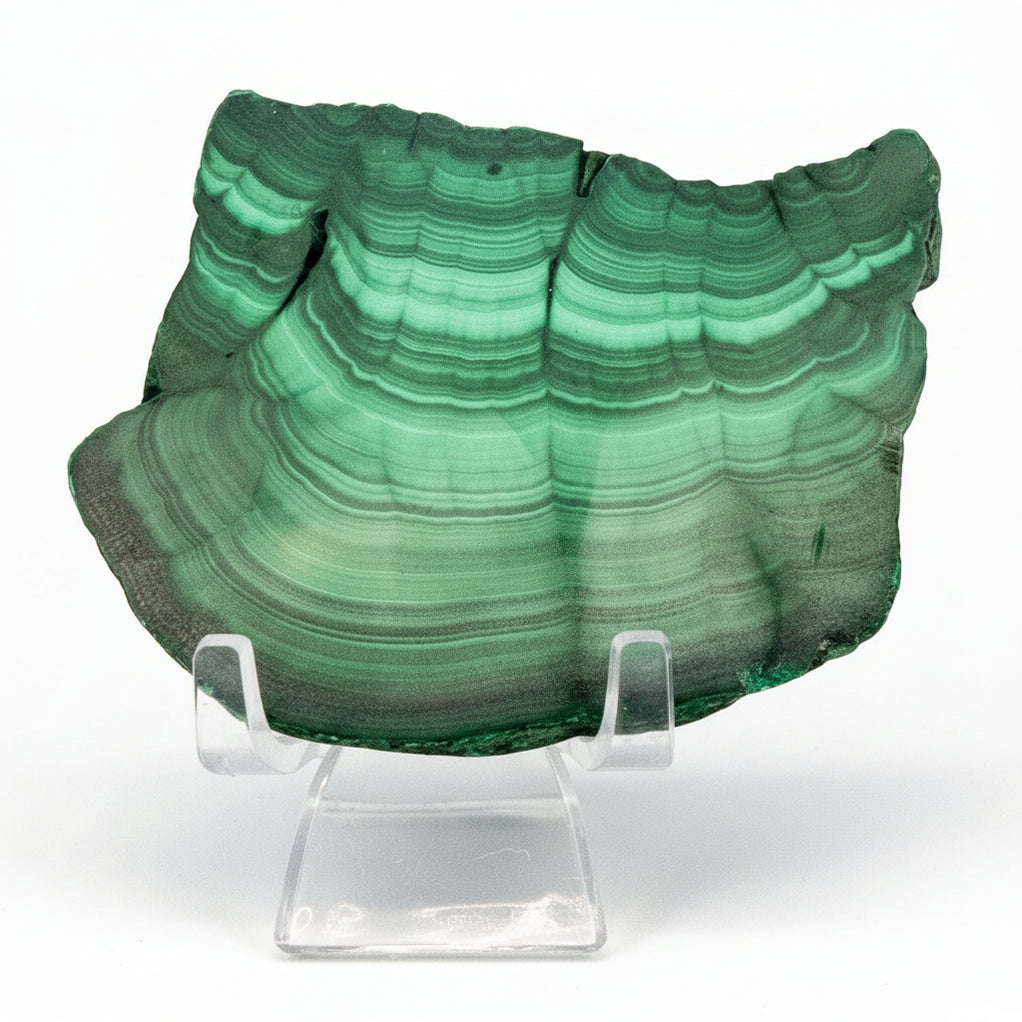 Malachite Charger Power Up Stone Green Slice — Satin Crystals
