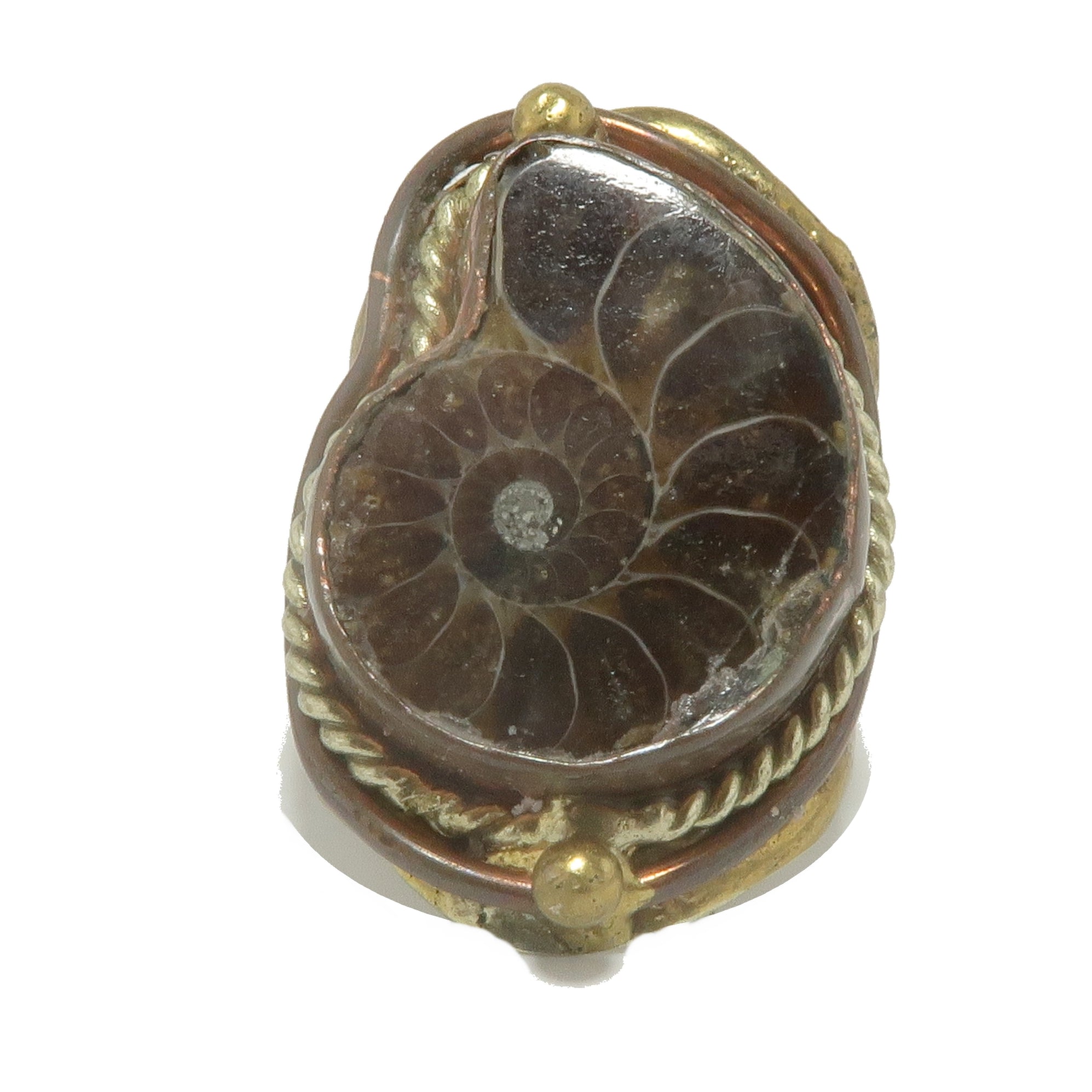 Ammonite Ring Fossilized Gem Ancient Power Adjustable — Satin Crystals