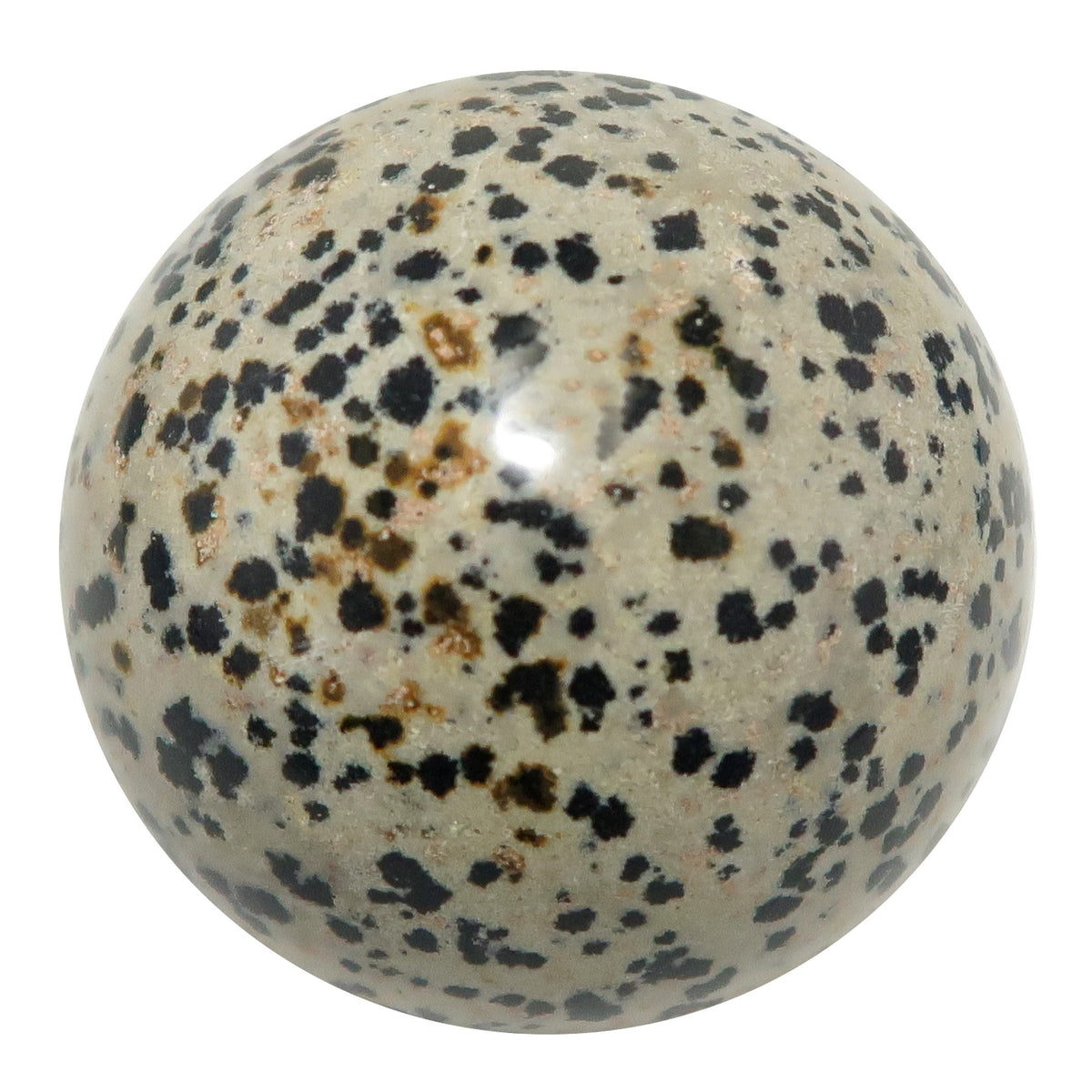 Dalmatian Jasper Sphere The Good Spot Crystal Ball — Satin Crystals